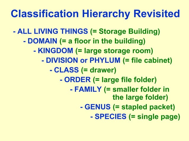 230-Classification-Systematics animal phylogeny.ppt