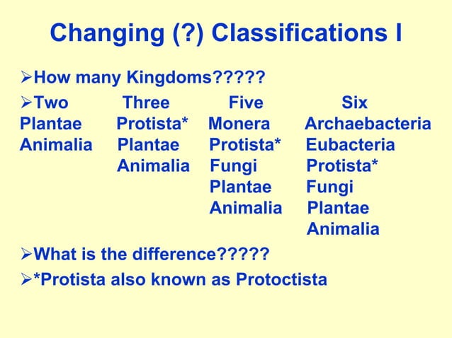 230-Classification-Systematics animal phylogeny.ppt