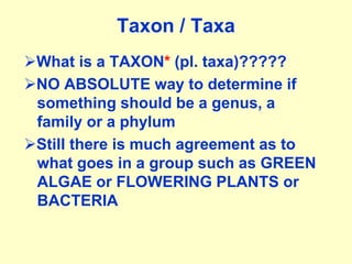 230-Classification-Systematics animal phylogeny.ppt