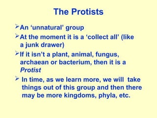 230-Classification-Systematics......................ppt