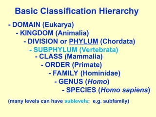230-Classification-Systematics......................ppt