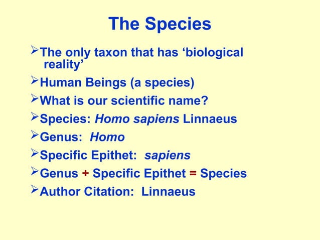 230-Classification-Systematics......................ppt