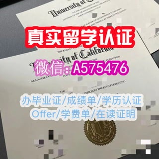 University of Western Sydney degree offer diploma Transcript | PDF