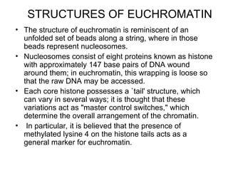 230001.pptprokaryotes prokaryotesprokaryotes | PPT