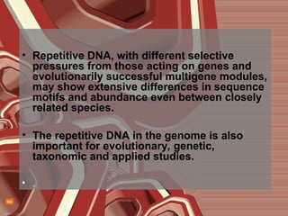 230001.pptprokaryotes prokaryotesprokaryotes | PPT