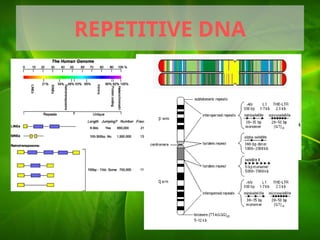 230001.pptprokaryotes prokaryotesprokaryotes | PPT
