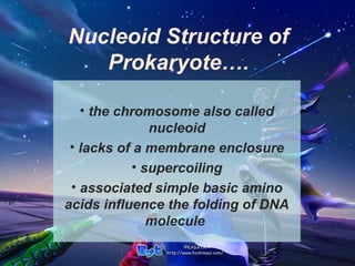 230001.pptprokaryotes prokaryotesprokaryotes | PPT