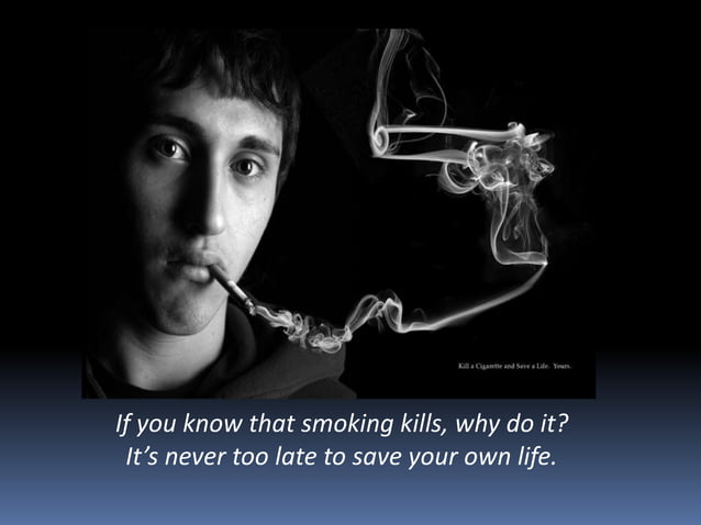 2300 Visual Arguments | PPTX