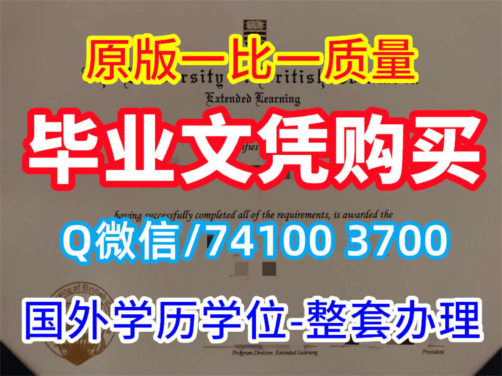 McMaster Bachelor Degree | PPT