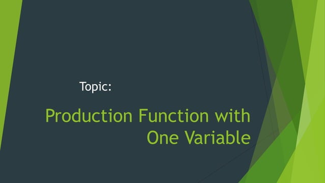 production function in one variable.pptx