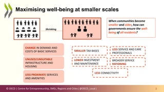 Shrinking smartly and sustainably | PDF