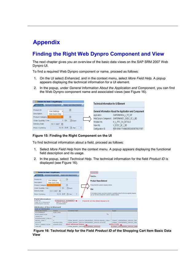 230394452 extending-extending-srm-web-dynpro-view srm-web-dynpro-view | PDF