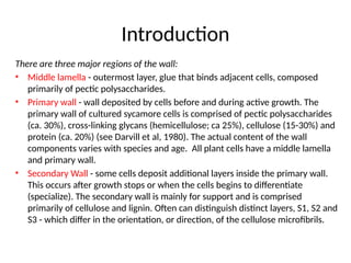 Plant cell wall composition and function | PPT