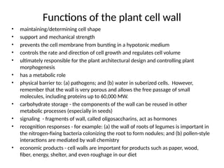 Plant cell wall composition and function | PPT