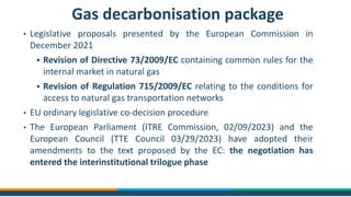 Report on Electricity and Gas | PPT