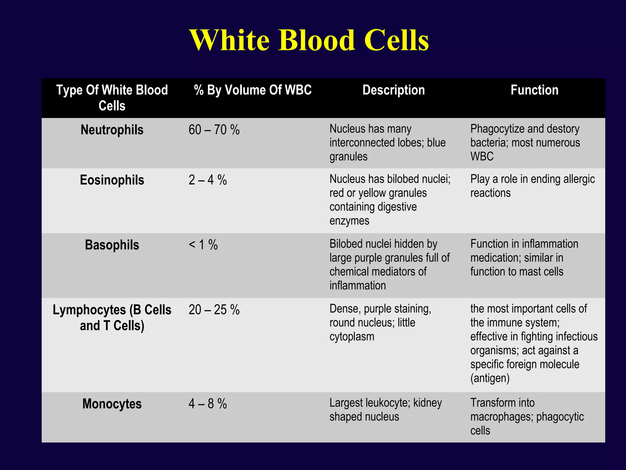 Blood | PPT