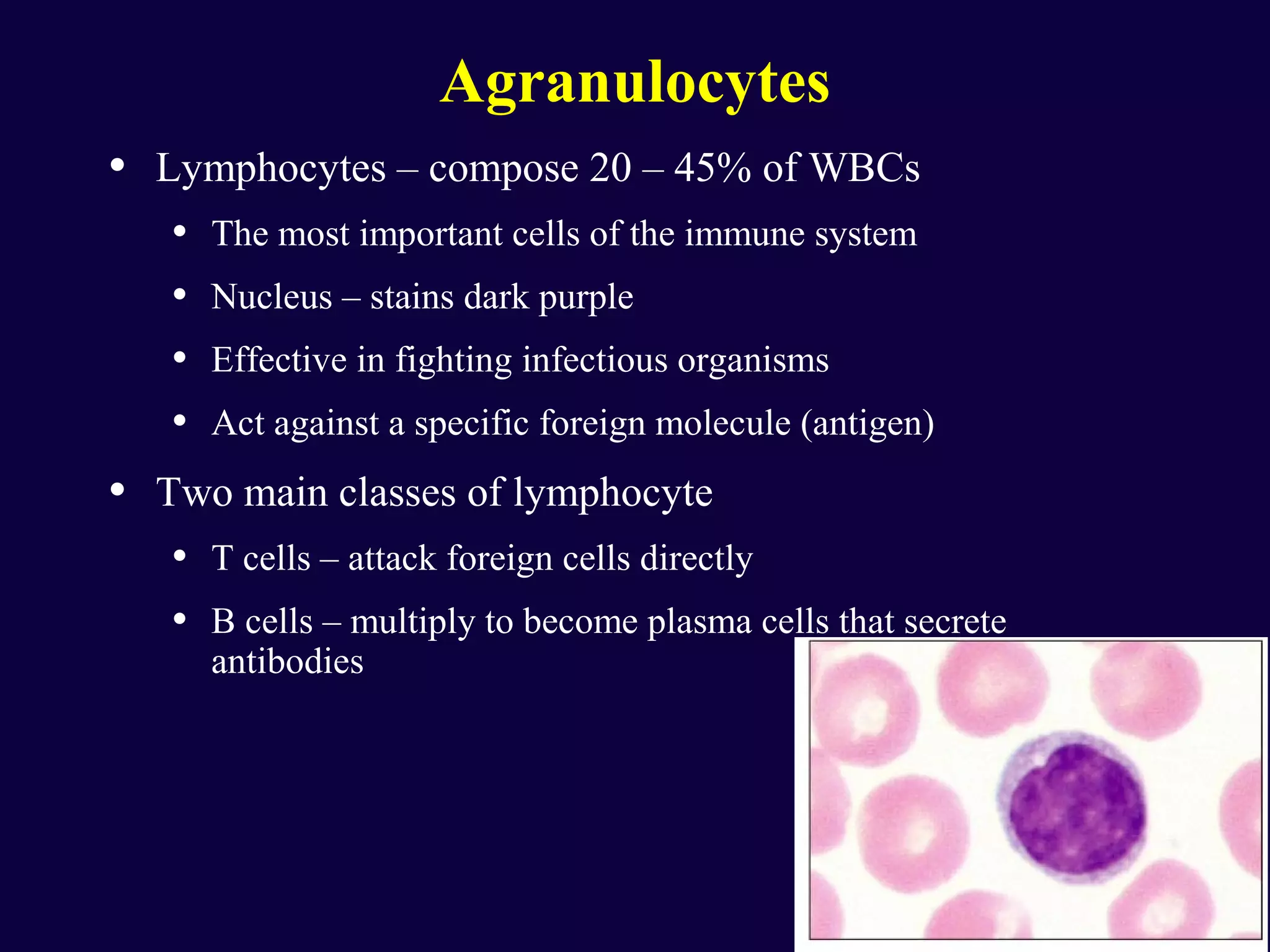 Blood | PPT