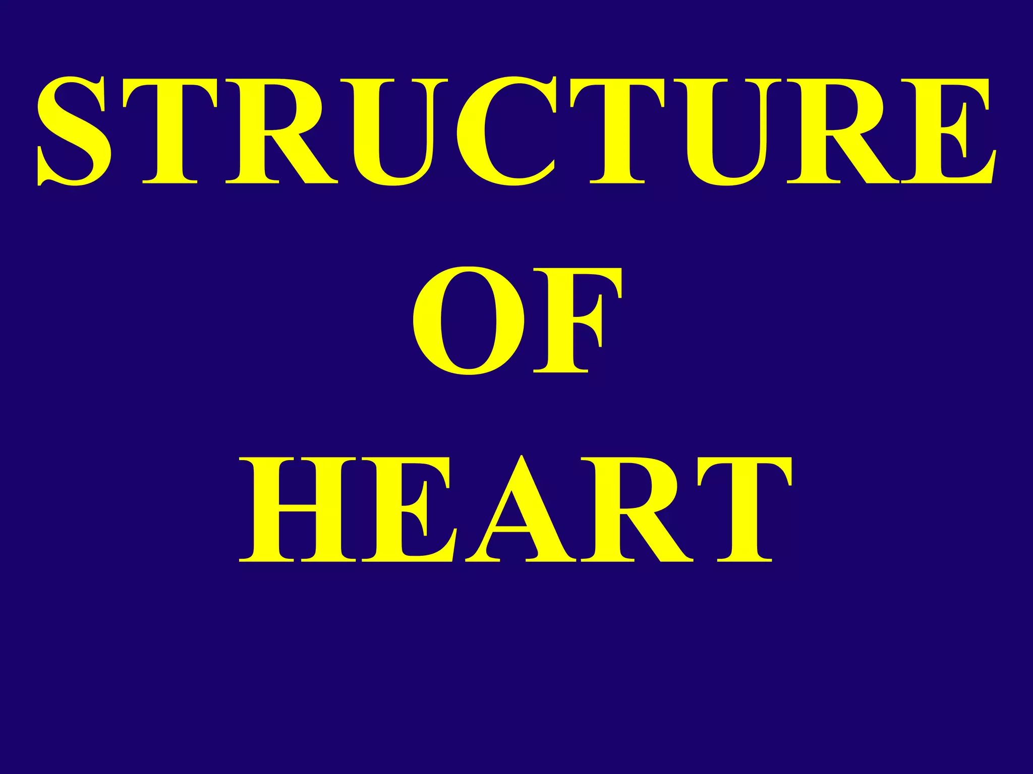 structure of heart | PPTX
