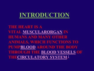 structure of heart | PPTX