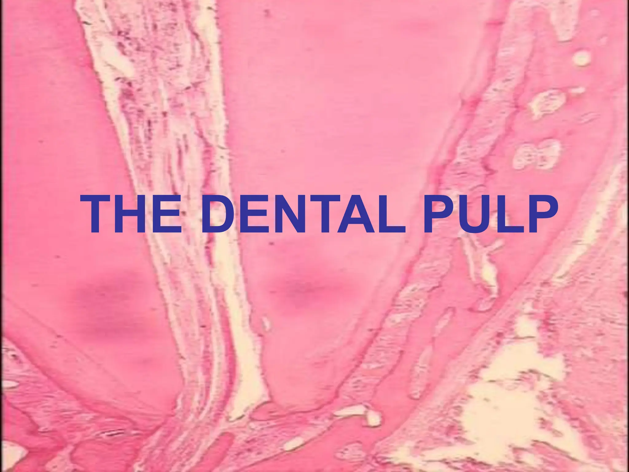 Oral histology : BDS- 1st year Dental-Pulp-Ppt.ppt