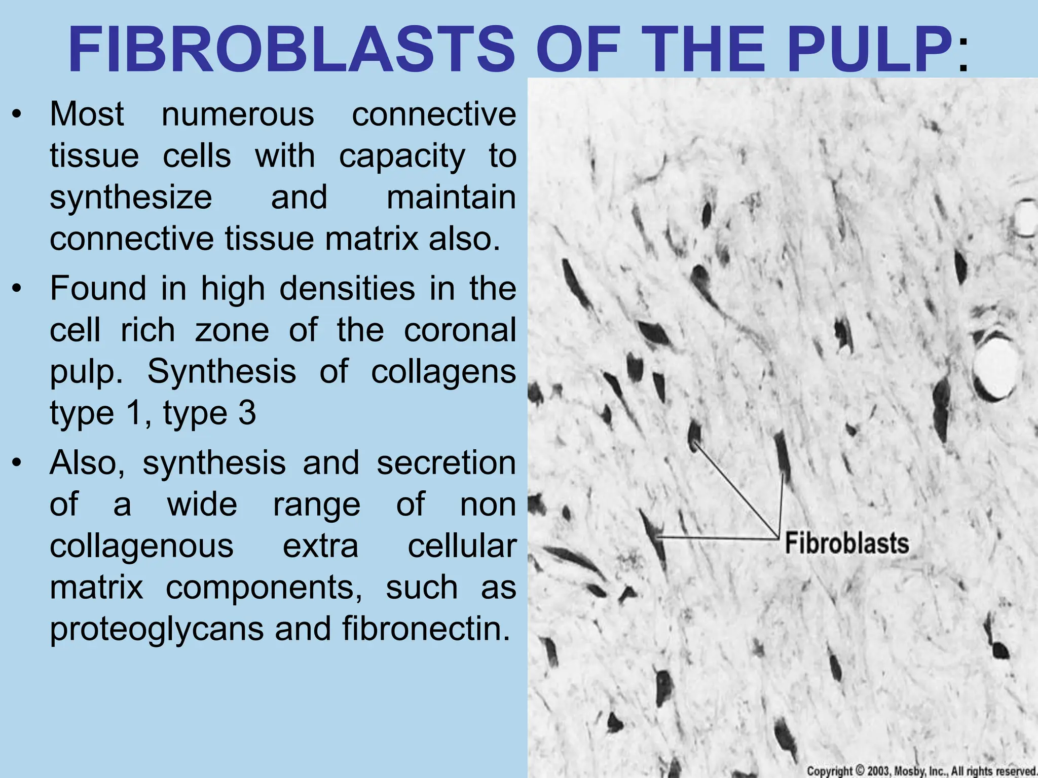 Oral histology : BDS- 1st year Dental-Pulp-Ppt.ppt