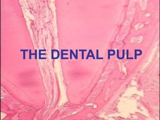 Oral histology : BDS- 1st year Dental-Pulp-Ppt.ppt
