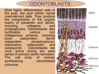 Oral histology : BDS- 1st year Dental-Pulp-Ppt.ppt