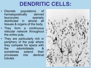 Oral histology : BDS- 1st year Dental-Pulp-Ppt.ppt