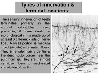 Oral histology : BDS- 1st year Dental-Pulp-Ppt.ppt