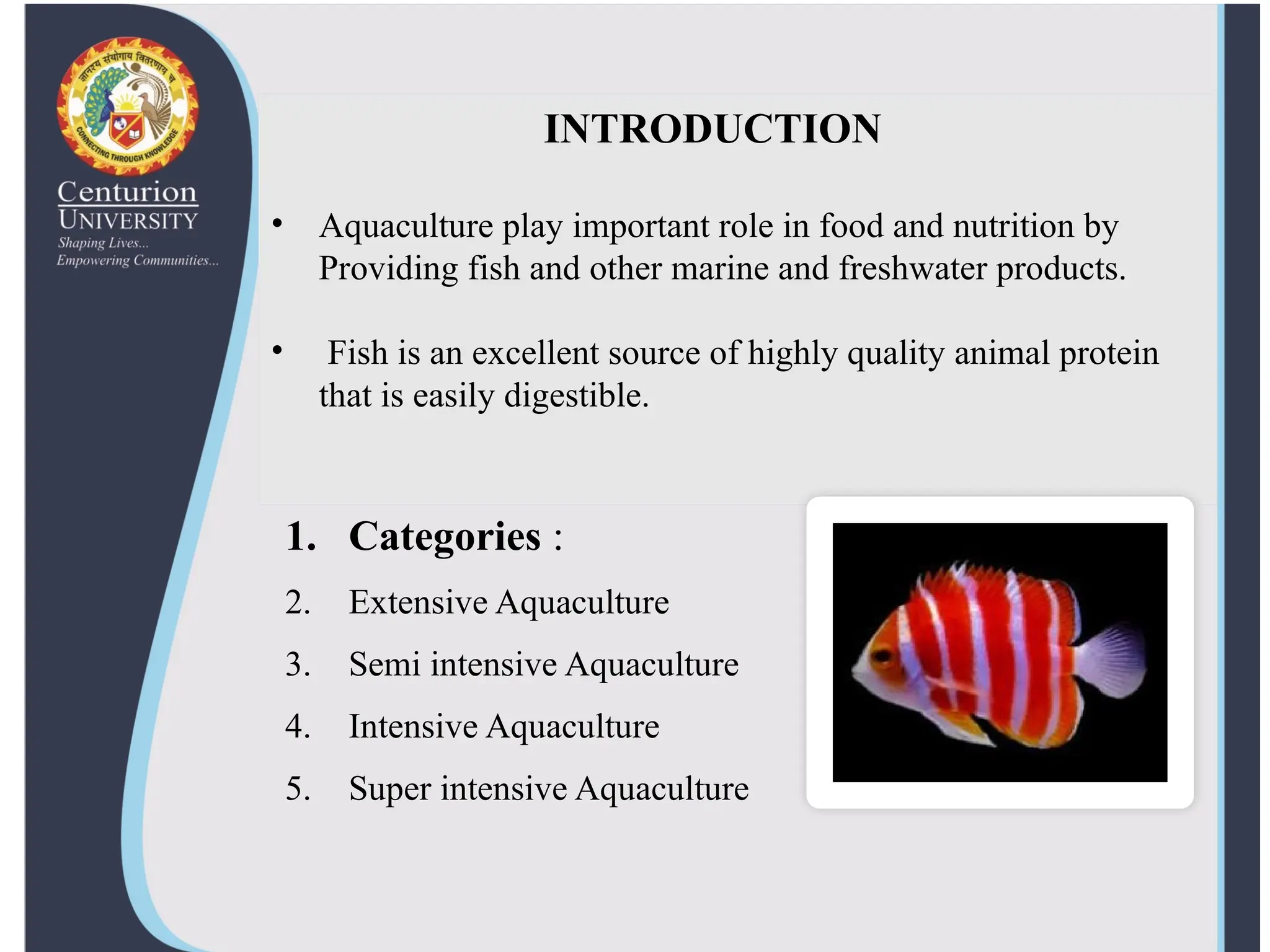 Different levels of Aquaculture. Advanced sustainable aquaculture | PPTX