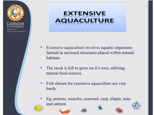 Different levels of Aquaculture. Advanced sustainable aquaculture | PPT