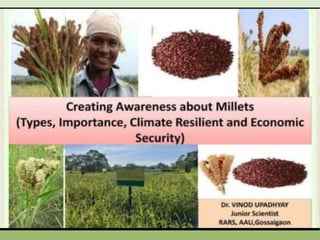 2307311452_BENEFITS_OF_MILLETS.pptx made by ekambir of air force school ...