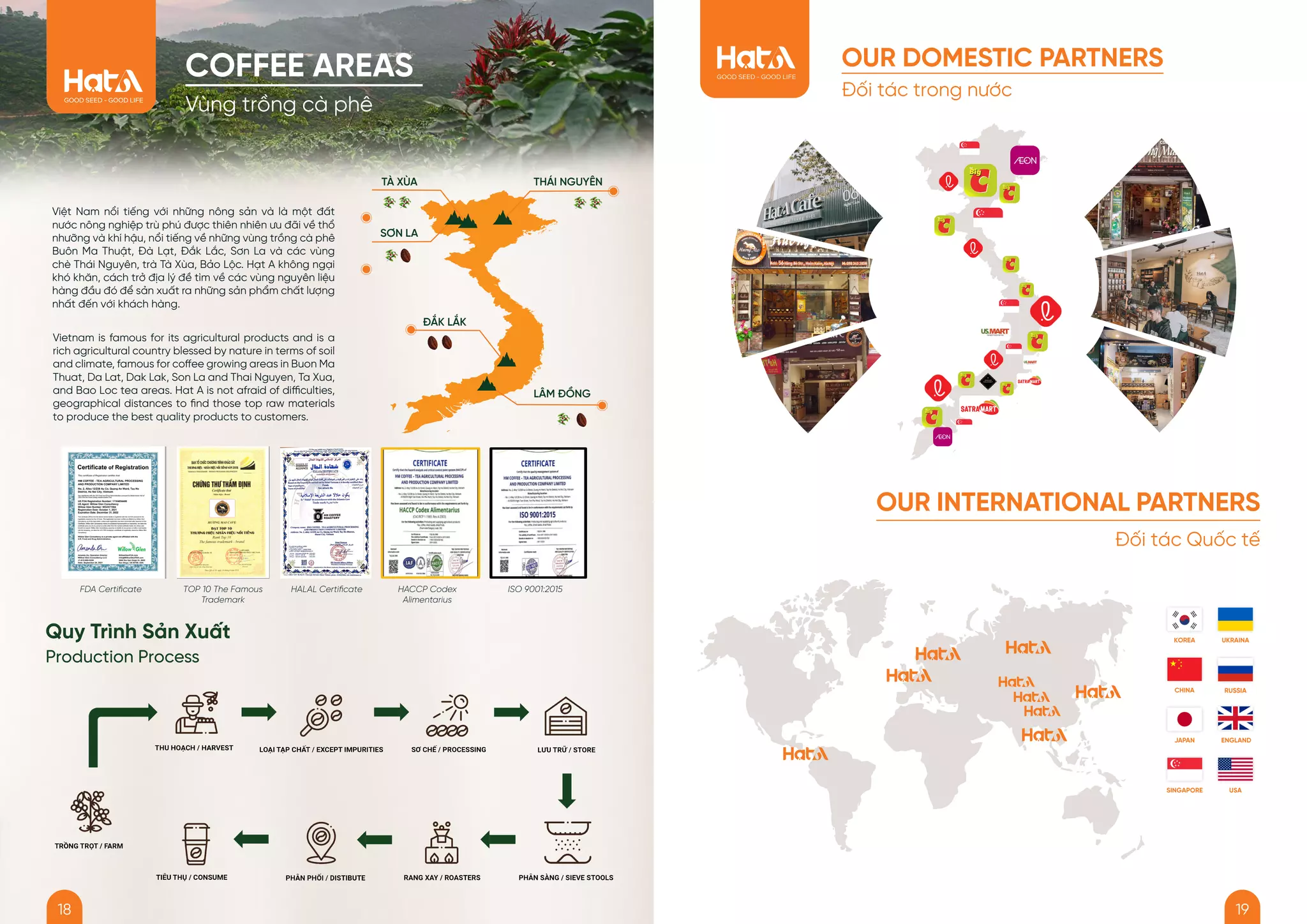 Catalogue Hat A Cafe | PDF
