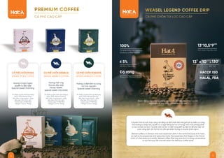 Catalogue Hat A Cafe | PDF
