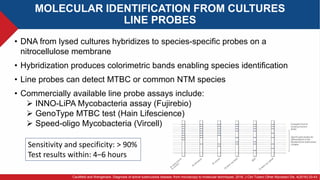 231023 P.1.7 GME_PATH_MYCOBACTERIA PART 2.pptx