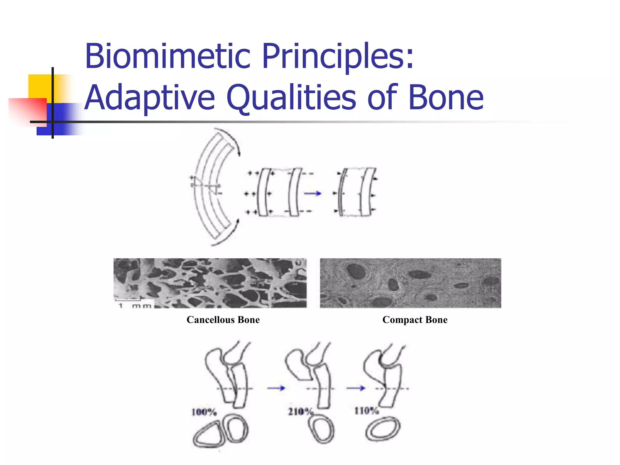 23 1 18 Self Healing Composites PS.pptx