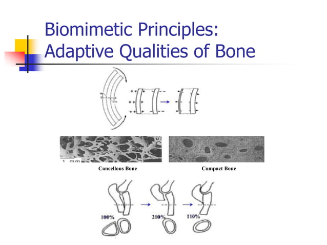 23 1 18 Self Healing Composites PS.pptx