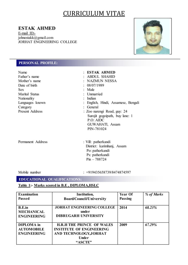 ESTAK CV | DOCX | College Education | Education