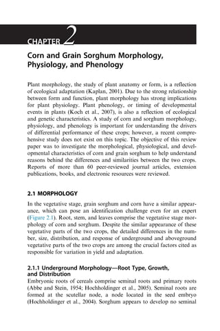 Corn And Grain Sorghum Comparison Yared Assefa Kraig Roozeboom | PDF
