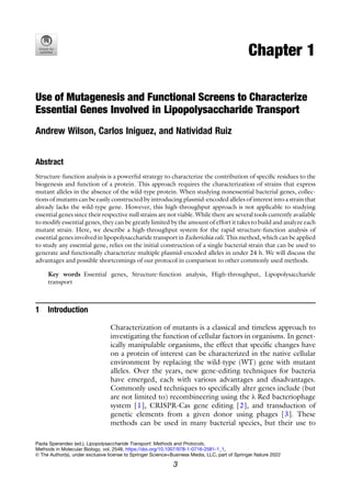 Lipopolysaccharide Transport Paola Sperandeo | PDF