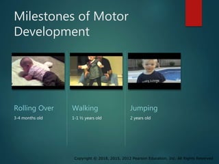 Physical Development During Infancy | PPTX