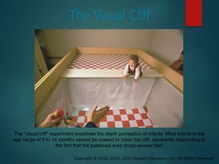 Physical Development During Infancy | PPTX