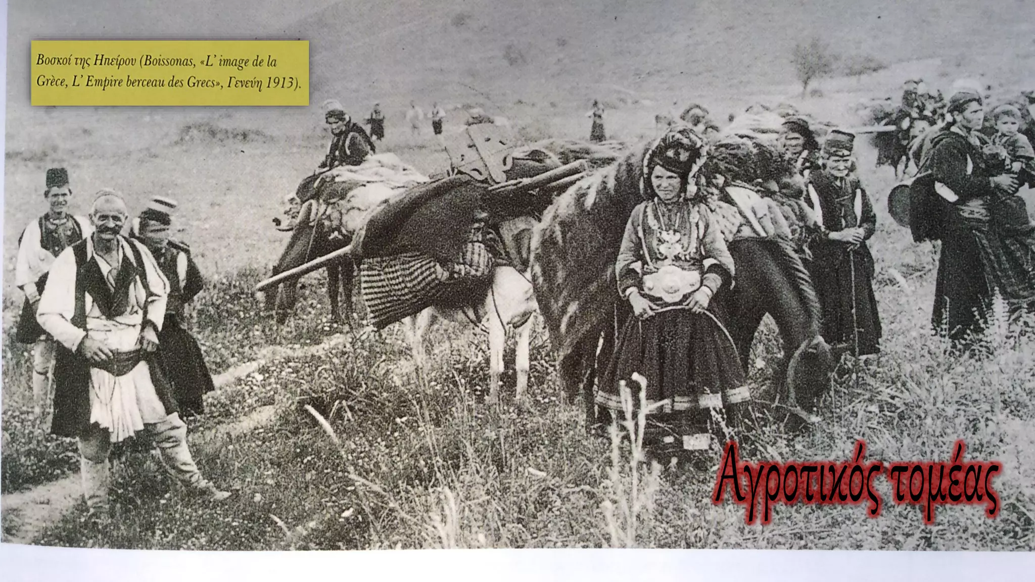 Ενότητα 23. Η ελληνική οικονομία και κοινωνία κατά τον 19ο αιώνα. | PDF