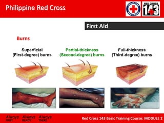 232100753-Ph-Red-Cross-First-Aid-and-BLS.ppt
