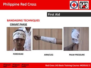 232100753-Ph-Red-Cross-First-Aid-and-BLS.ppt