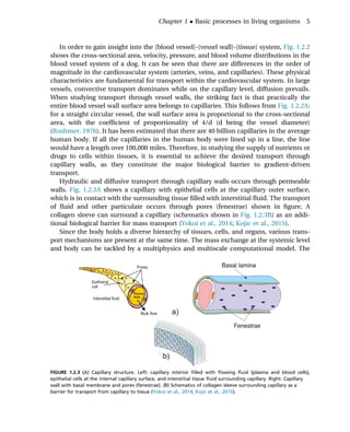 Computational Models In Biomedical Engineering Finite Element Models ...