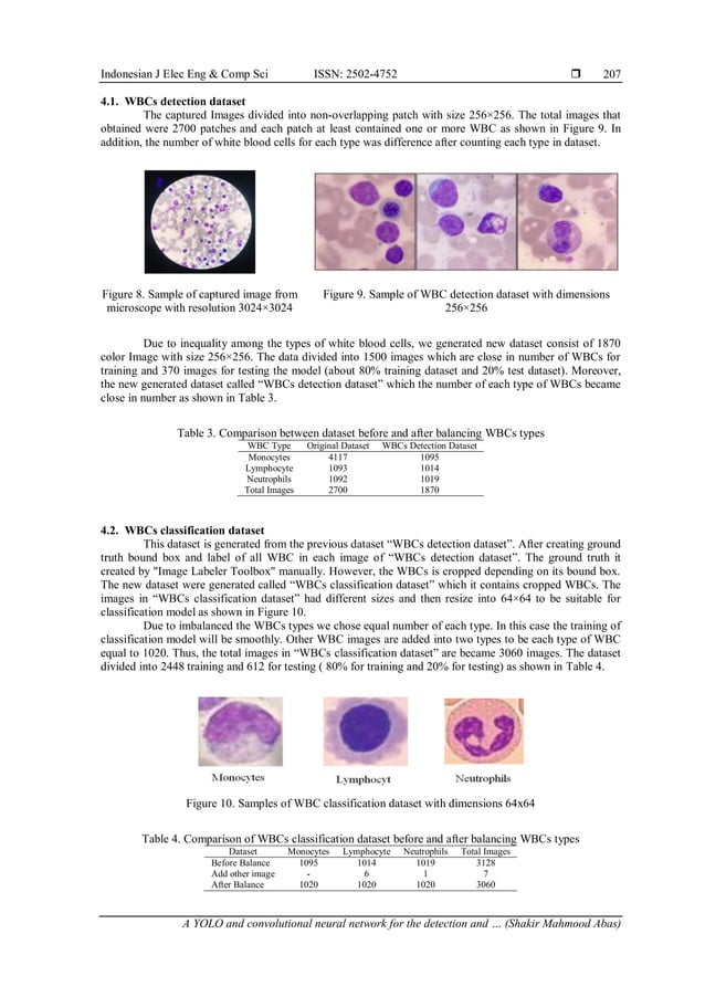 A YOLO and convolutional neural network for the detection and ...