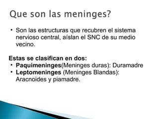 Meninges | PPT