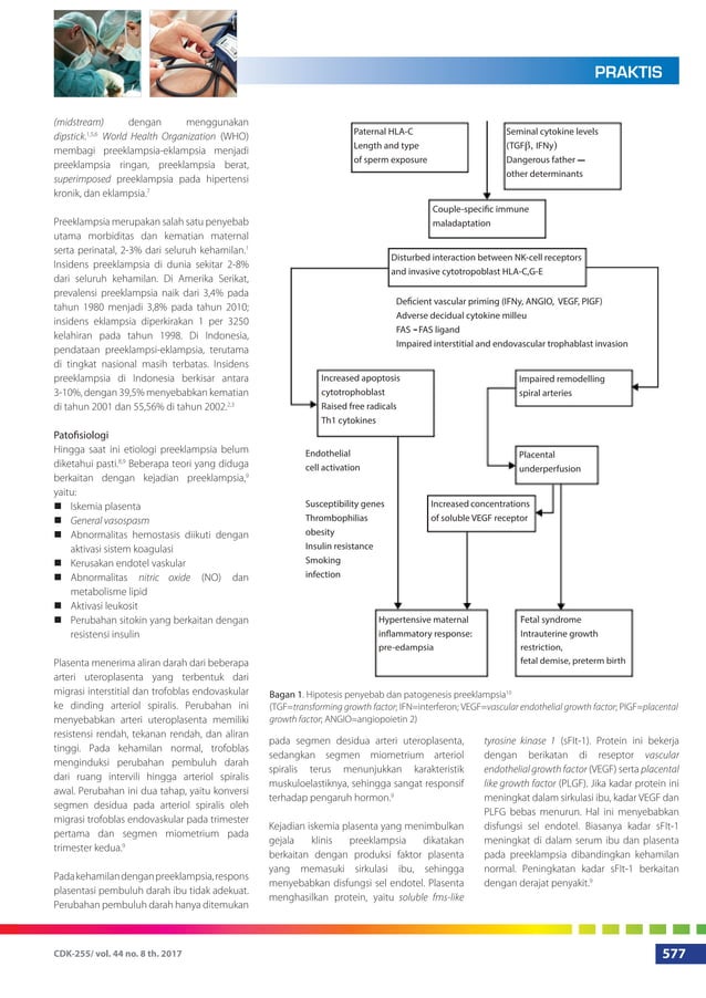 23 255 praktis-diagnosis dan tatalaksana preeklampsia berat tidak ...