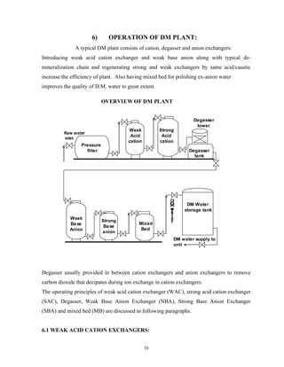 23291582 dm-plant | PDF